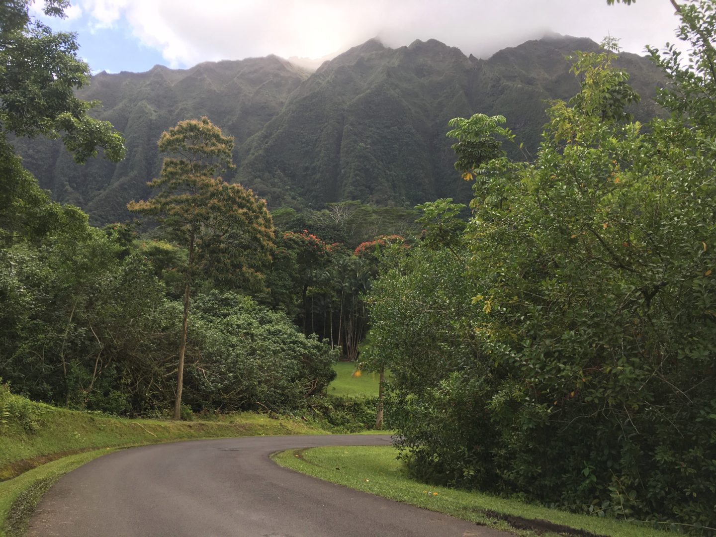 About – Kanu Hawaii