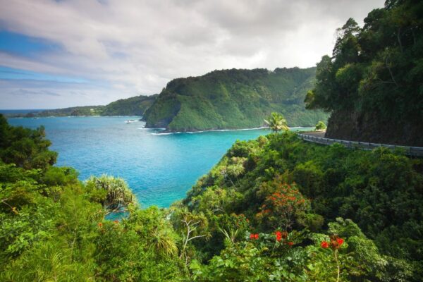 Volunteer Opportunities – Kanu Hawaii