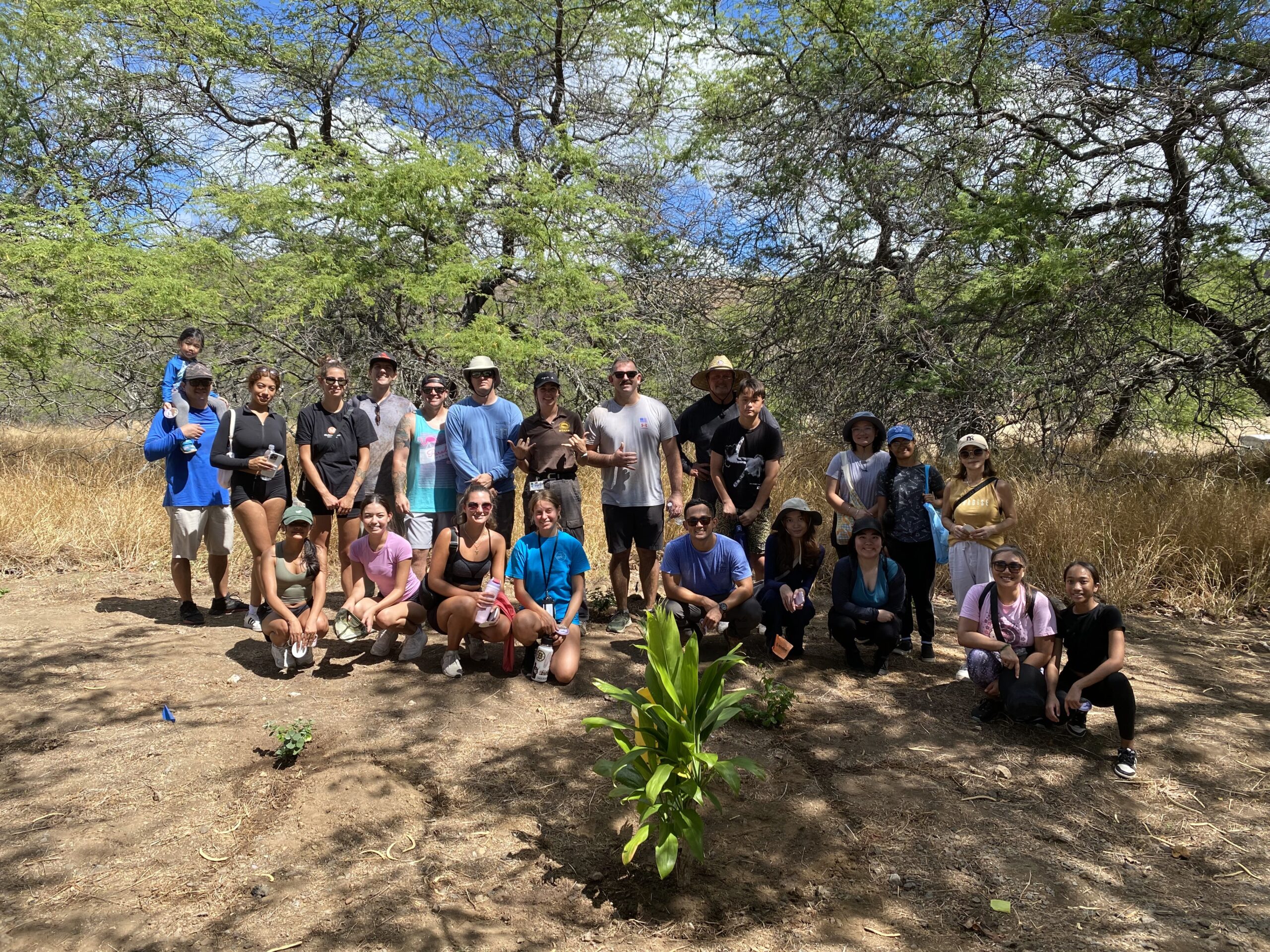 Diamond Head State Monument: Care for the Crater – Kanu Hawaii