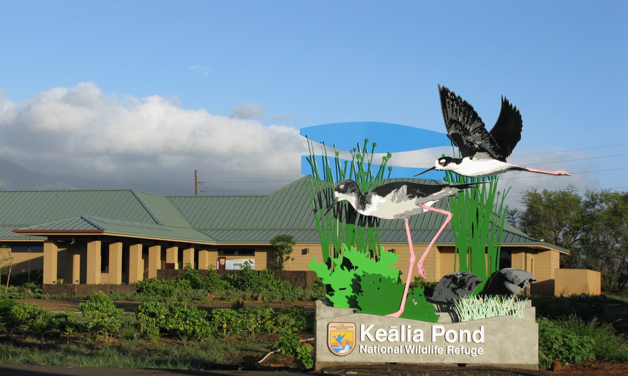 USFWS Keālia Pond National Wildlife Refuge – Kanu Hawaii